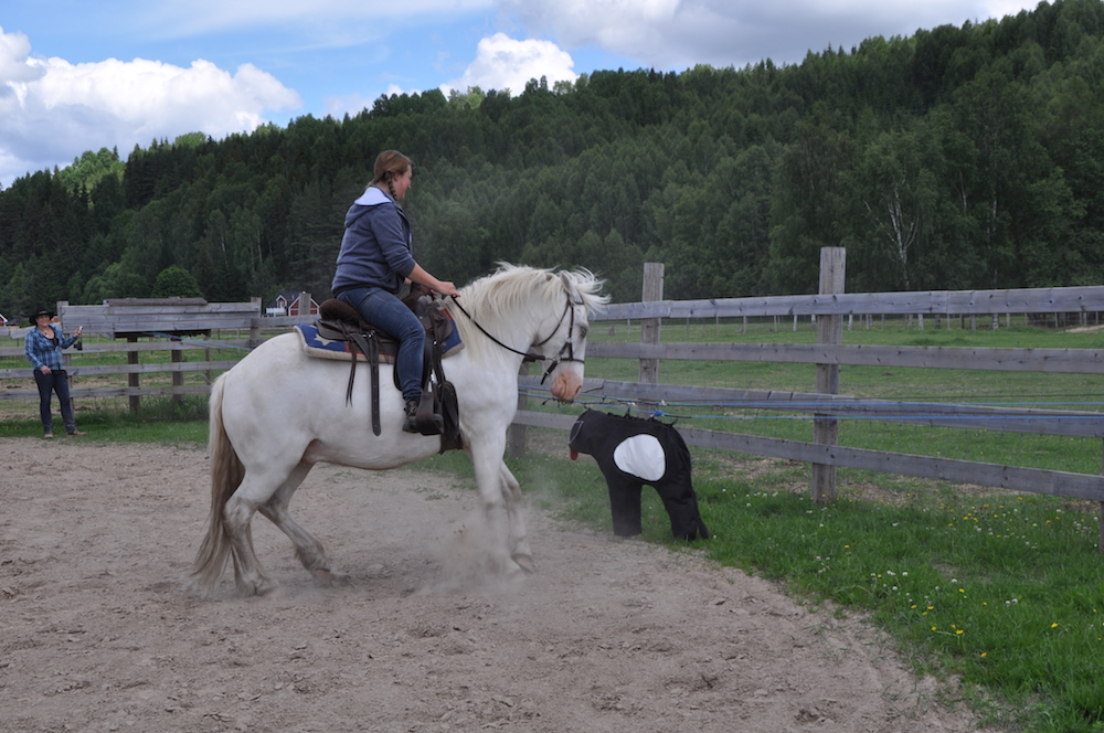 Riding lesson – Sun Dance Ranch